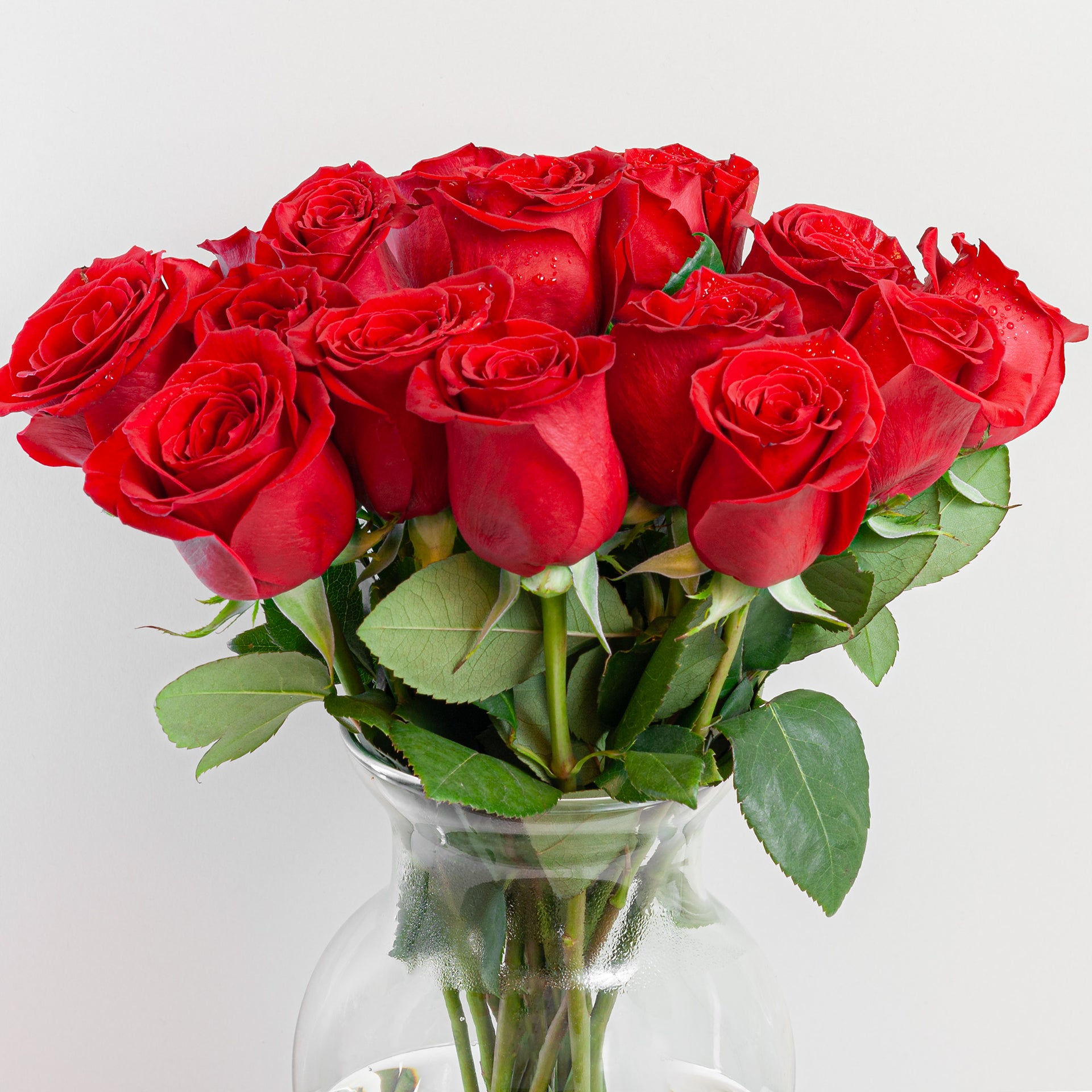 Arreglo Exclusivo de 15 Rosas en Base Samaritano | Rosatel – Rosatel Chile