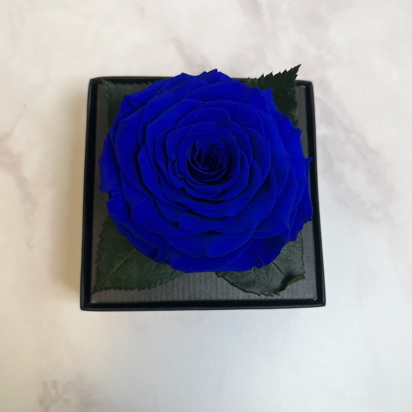 Regalar Flores con Rosatel: Belleza, Emoción y Conveniencia – Rosatel Chile