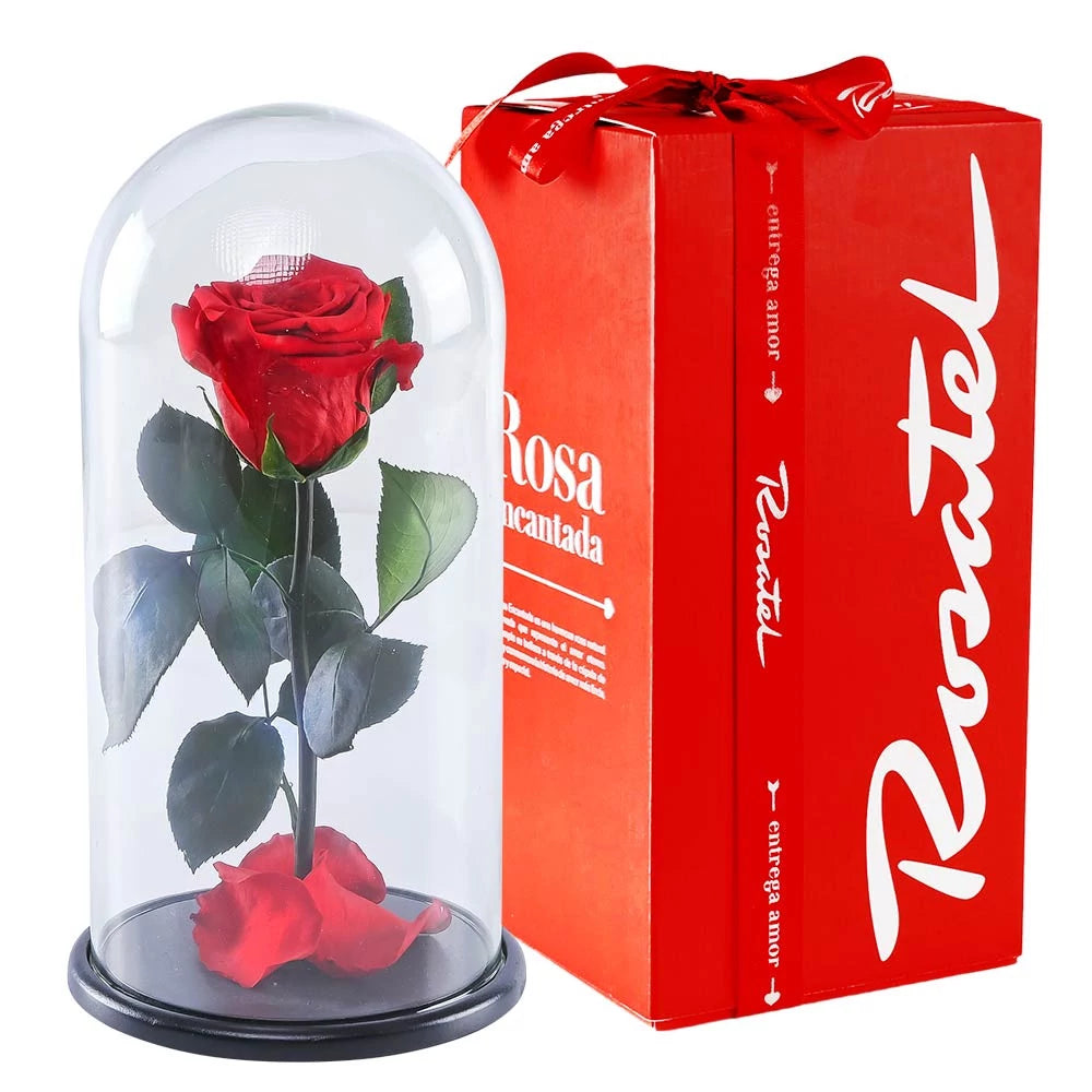 Rosa Encantada en Caja Roja – Rosatel Chile
