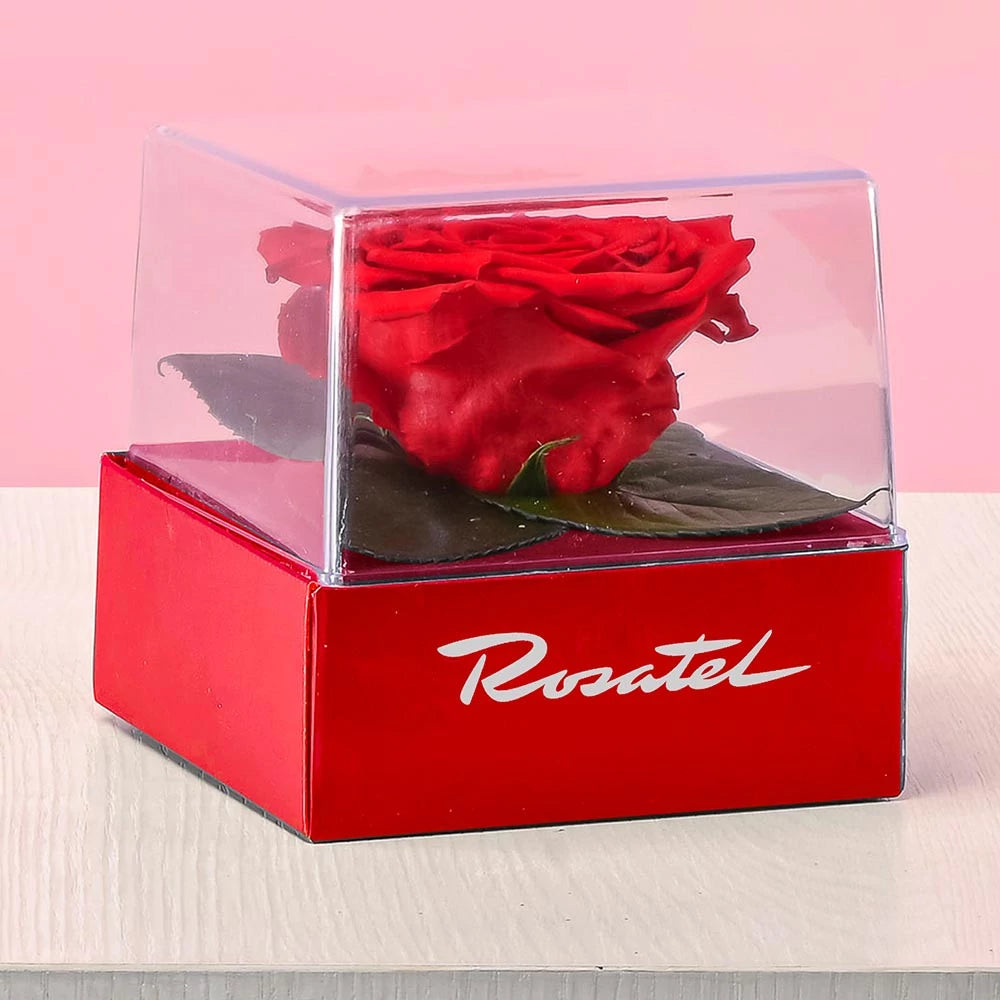 Rosa Preservada Roja en Cubo – Rosatel Chile